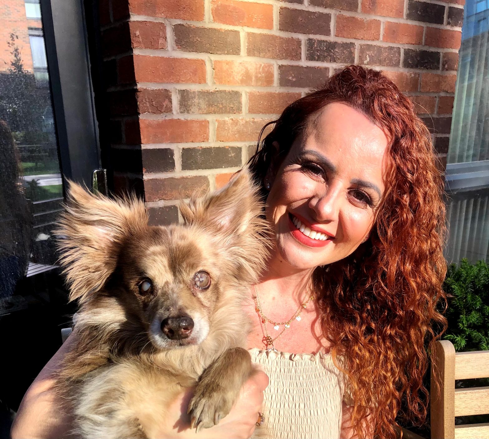 The Secret Lives of Millennial Dog Mums - Webbox