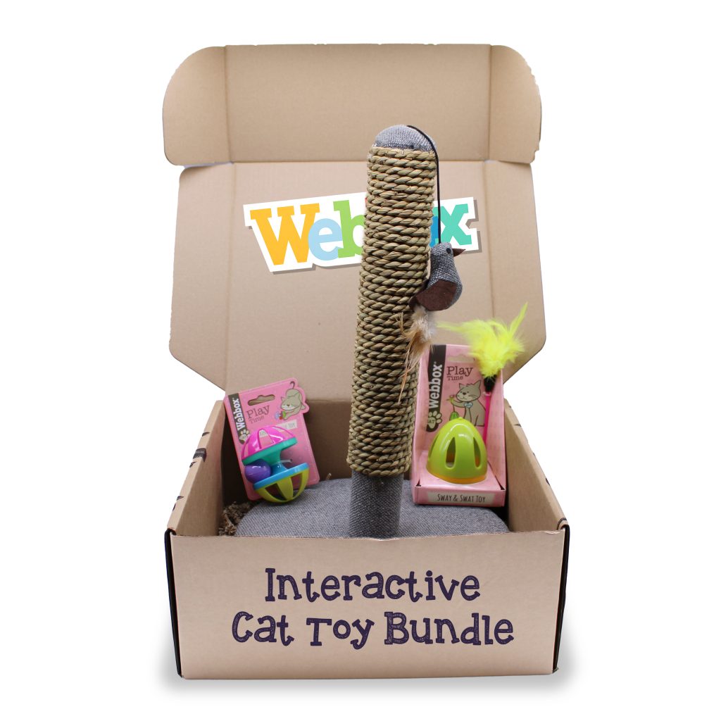 Webbox Interactive Cat Bundle - Webbox