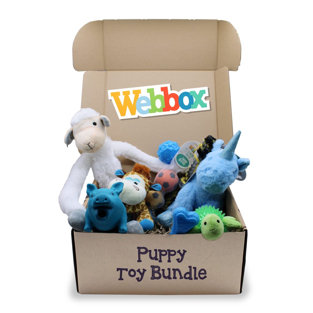 Webbox Puppy Toy Bundle Blue - Webbox