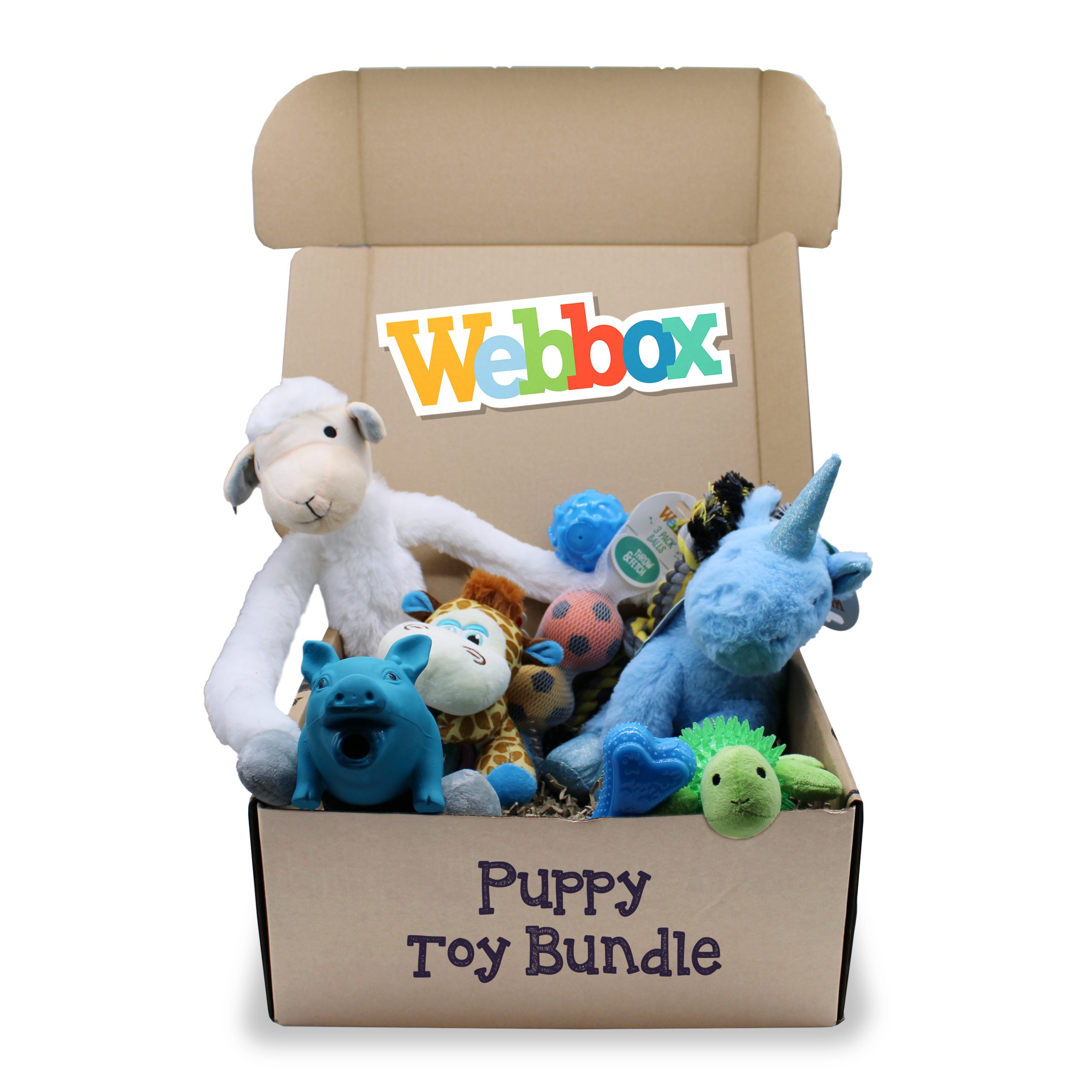 Webbox Puppy Toy Bundle Blue - Webbox