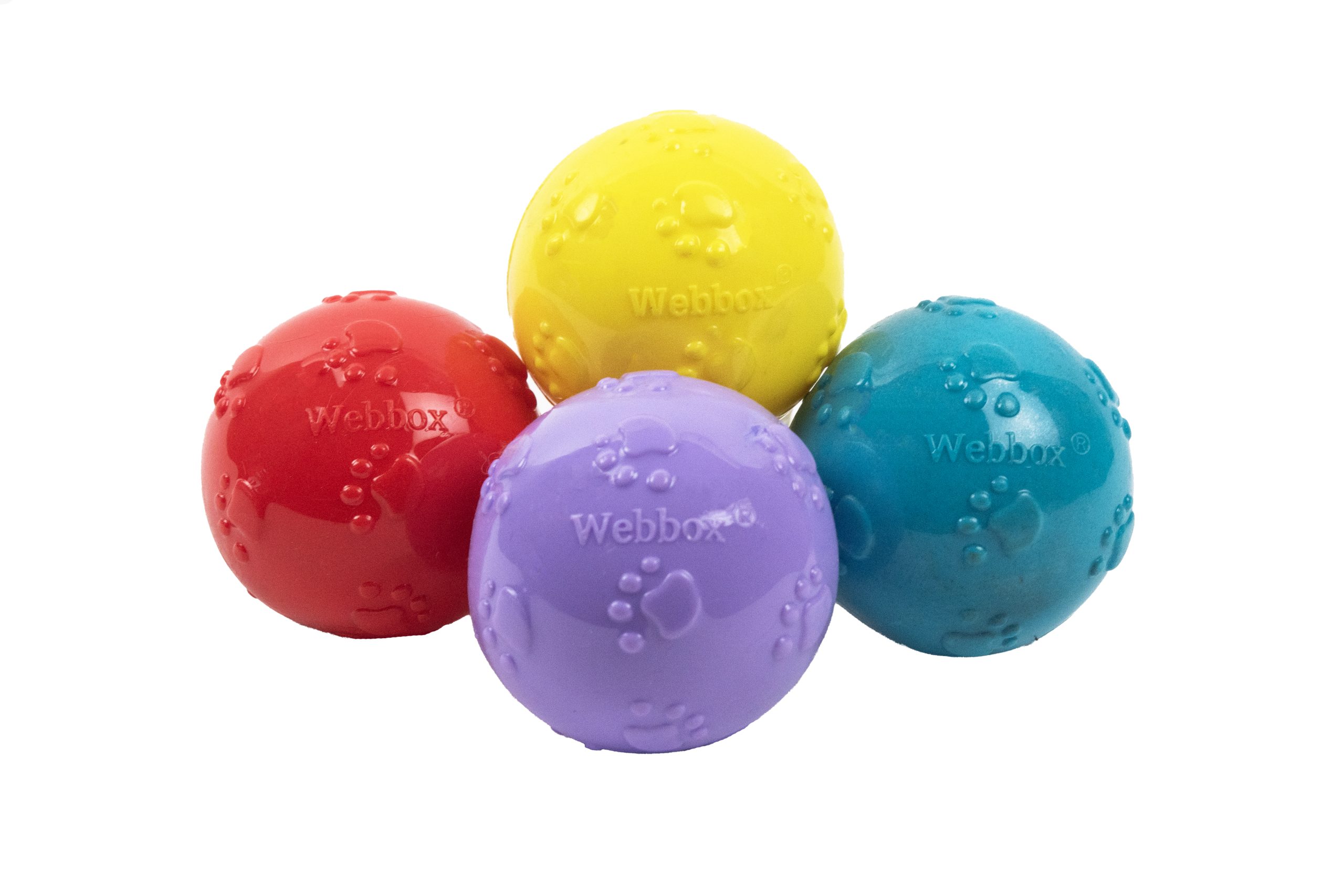Webbox Squeaky Ball Dog Toy 4 Pack - Webbox